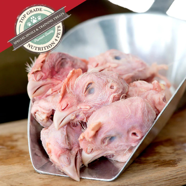 Pawsome Raw Chicken Heads - LoveDogs